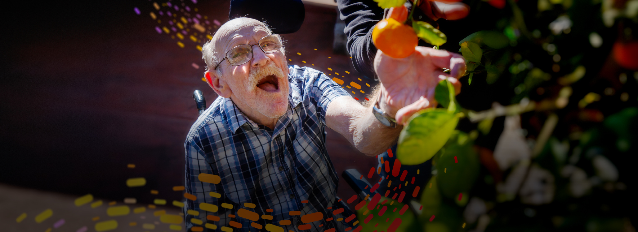 Disability Services and Support in QLD & Northern NSW | CPL - Choice ...